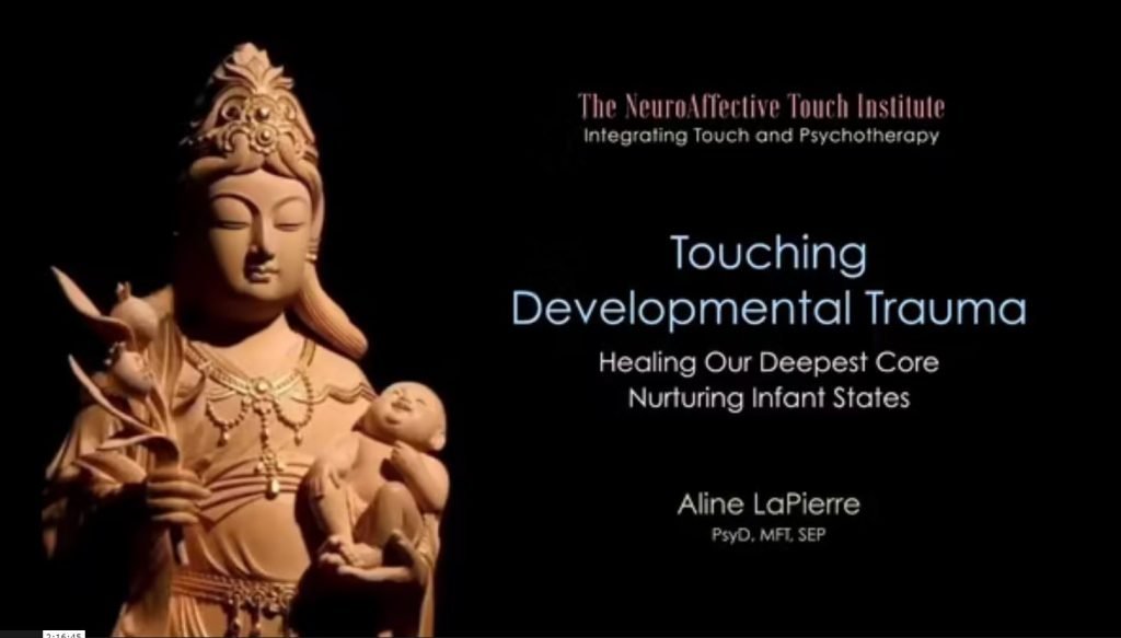 NeuroAffective Touch Webinars Touching Developmental Trauma